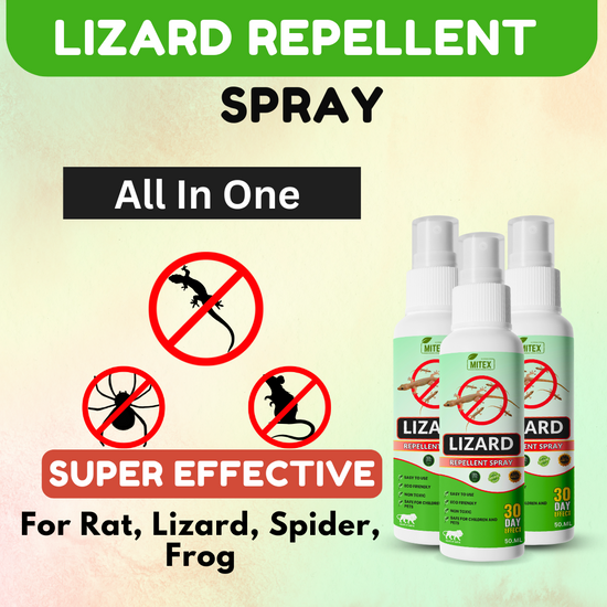 Lizard Repellent Spray - Protect your home from Pest, mite & insects ...