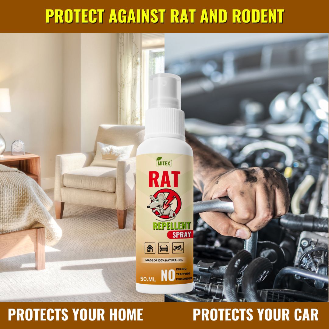 Rat Repellent Spray – Safe, Effective, and Eco-friendly. – Mitex