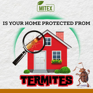 Termite Killer Spray - Effective Pest solution for your home – Mitex